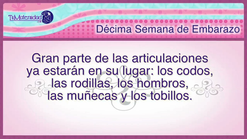 Embarazo de 10 semanas - Semanas del Embarazo - Tu Maternidad