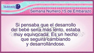 Embarazo de 15 semanas - Semanas del Embarazo - Tu Maternidad