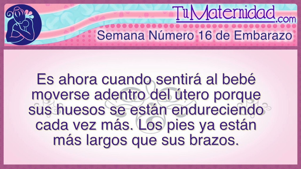 Embarazo de 16 semanas - Semanas del Embarazo - Tu Maternidad