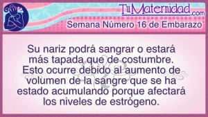 Embarazo de 16 semanas - Semanas del Embarazo - Tu Maternidad