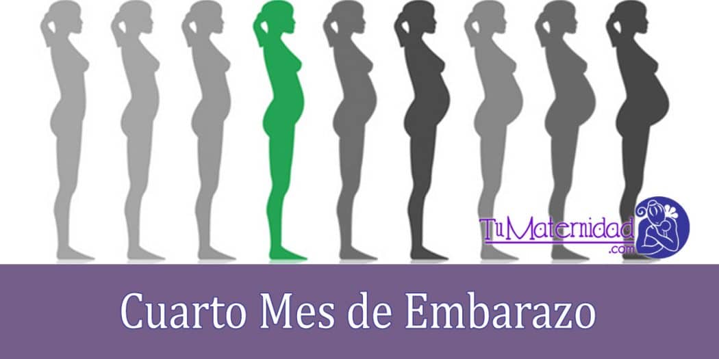 Cuarto Mes de Embarazo - Embarazo Mes a Mes - Tu Maternidad