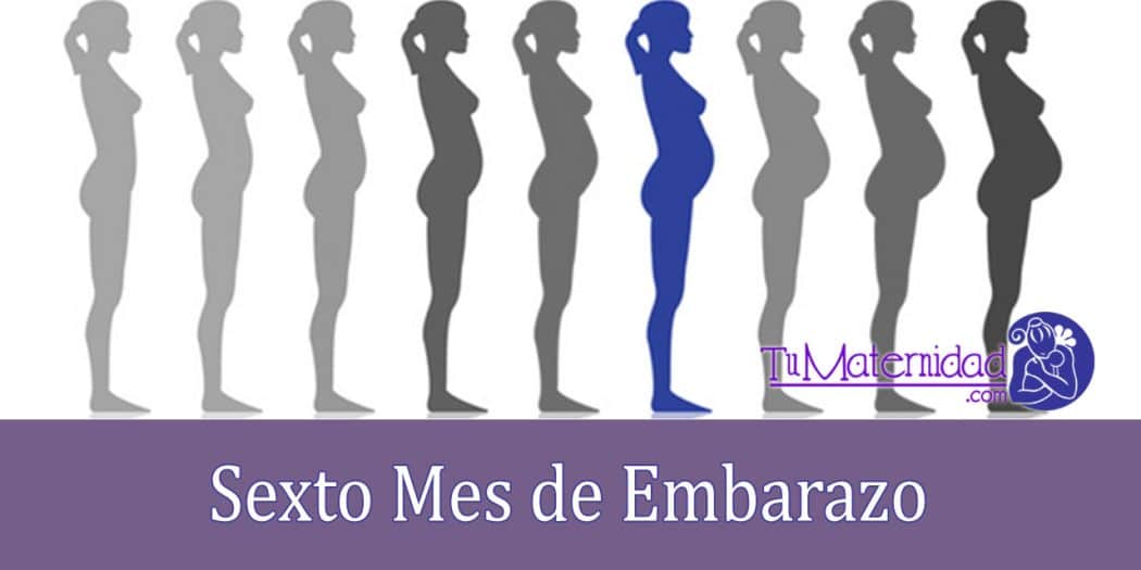 Sexto Mes de Embarazo - Embarazo Mes a Mes - Tu Maternidad