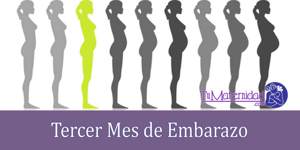 Tercer Mes de Embarazo - Embarazo Mes a Mes - Tu Maternidad